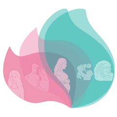 Télécharger l'Application